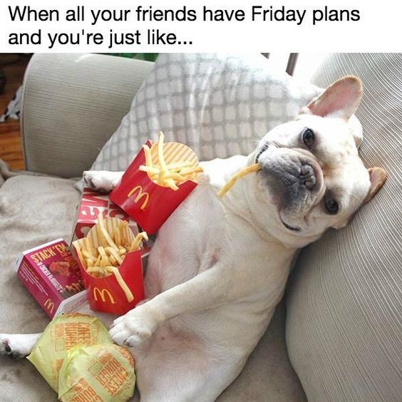 When All Your Friends Have Friday Plans And You're Just Like ...