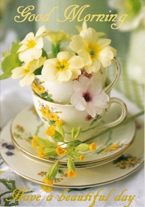 Good Morning! Have A Beautiful Day! Pictures, Photos, and Images for ...