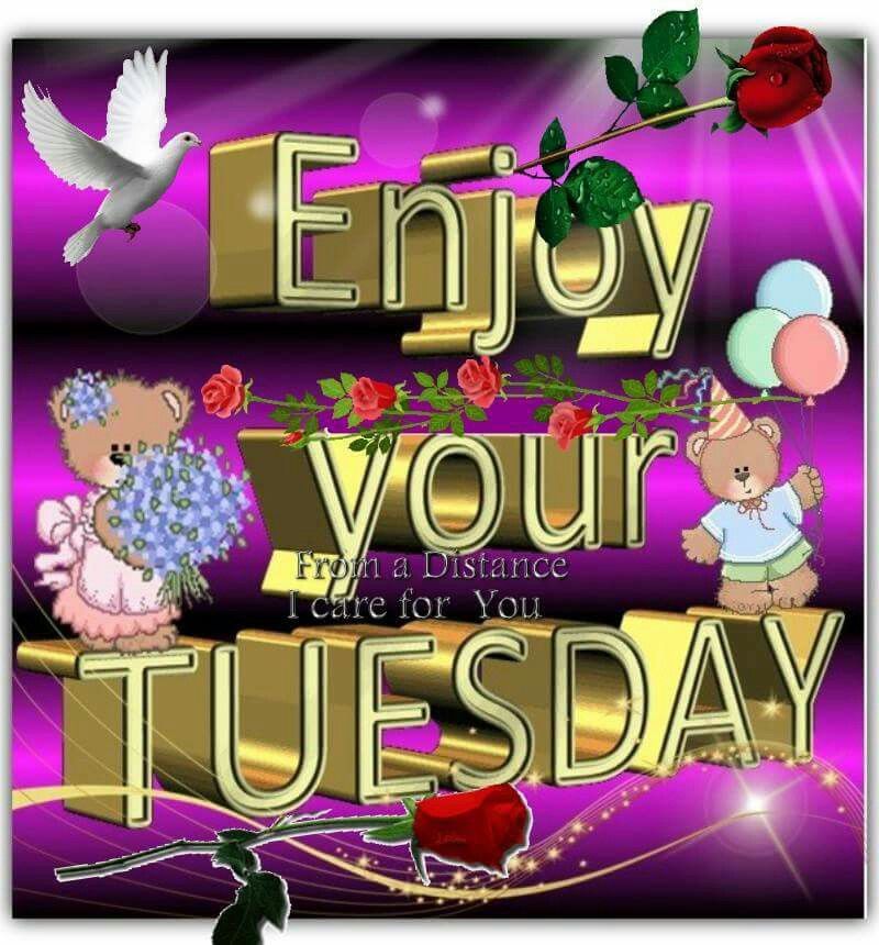 Enjoy Your Tuesday Pictures, Photos, and Images for Facebook, Tumblr ...
