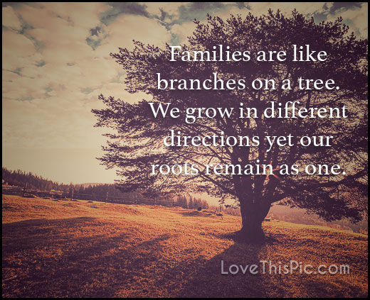 Families Are Like Pictures, Photos, and Images for Facebook, Tumblr ...