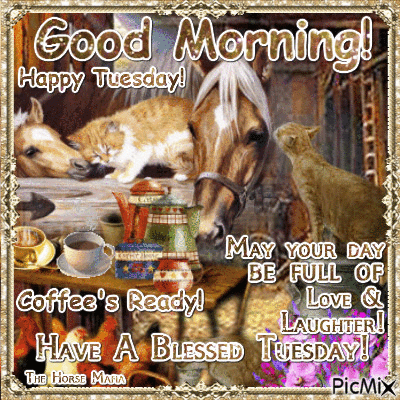 Good Morning! Happy Tuesday Pictures, Photos, and Images for Facebook ...