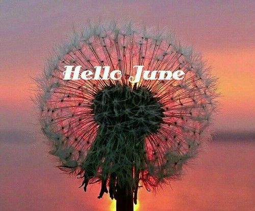 Hello June Pictures, Photos, and Images for Facebook, Tumblr, Pinterest ...
