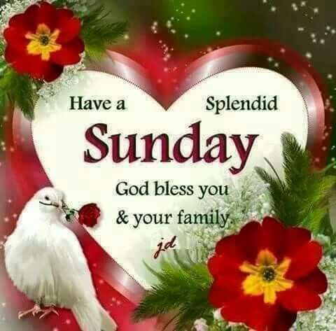 Have A Splendid Sunday Pictures, Photos, and Images for Facebook ...