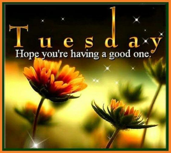 Tuesday, Hope You're Having A Good One Pictures, Photos, and Images for ...