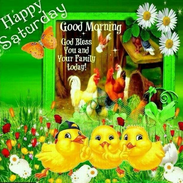 Happy Saturday, Good Morning Pictures, Photos, and Images for Facebook ...