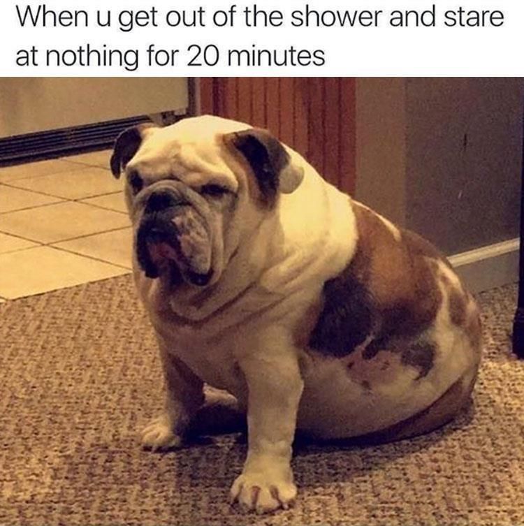 When You Get Out Of The Shower And Stare At Nothing For 20 Minutes ...