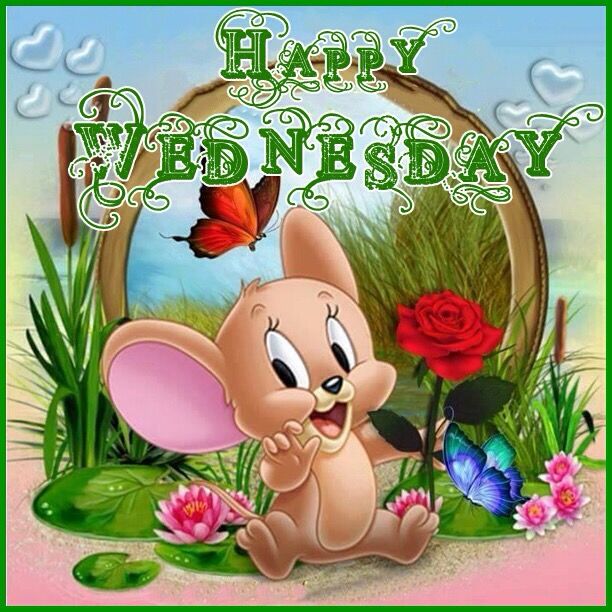 Happy Wednesday Pictures, Photos, and Images for Facebook, Tumblr ...