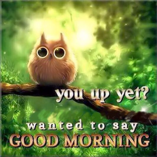 You Up Yet? Wanted To Say Good Morning Pictures, Photos, and Images for ...