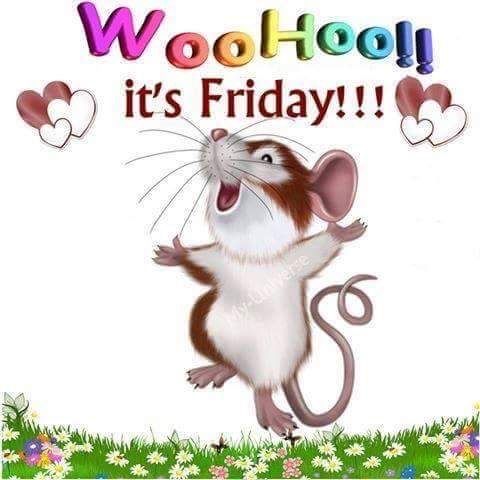 WooHoo It's Friday!! Pictures, Photos, and Images for Facebook, Tumblr ...