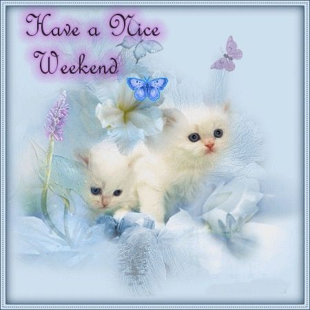 Have A Nice Weekend Pictures, Photos, and Images for Facebook, Tumblr ...