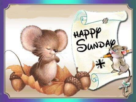 Happy Sunday Pictures, Photos, and Images for Facebook, Tumblr ...