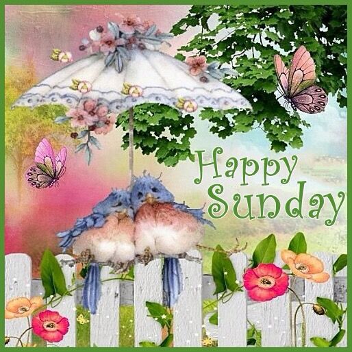 Happy Sunday Pictures, Photos, and Images for Facebook, Tumblr ...