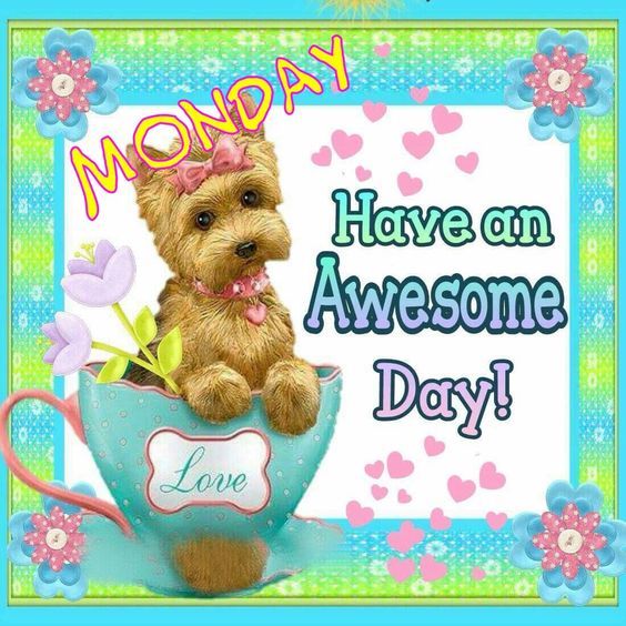 Monday, Have An Awesome Day! Pictures, Photos, and Images for Facebook ...