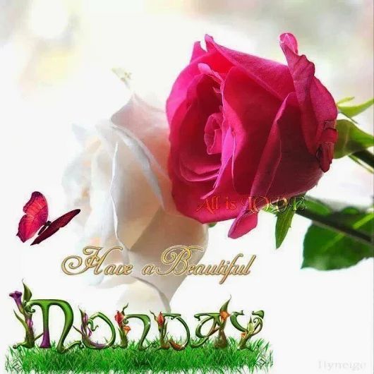 Have A Beautiful Monday Pictures, Photos, and Images for Facebook ...