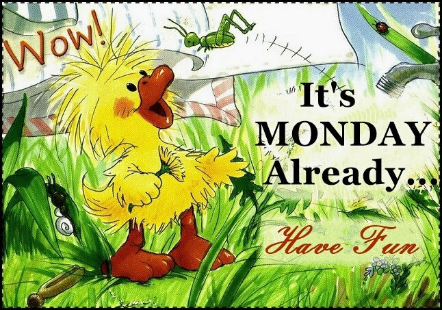 It's Monday Already... Pictures, Photos, and Images for Facebook ...