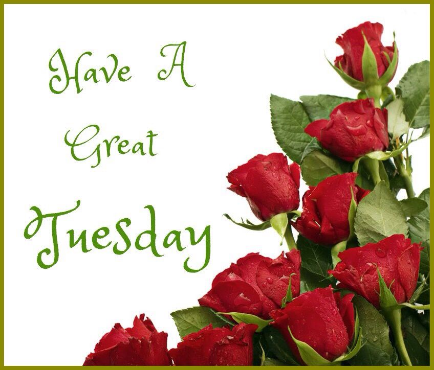 Have A Great Tuesday Pictures, Photos, and Images for Facebook, Tumblr ...