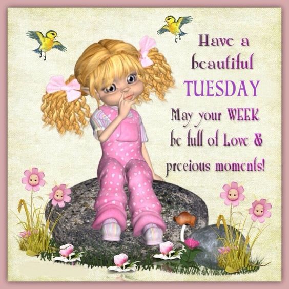Have A Beautiful Tuesday Pictures, Photos, and Images for Facebook ...
