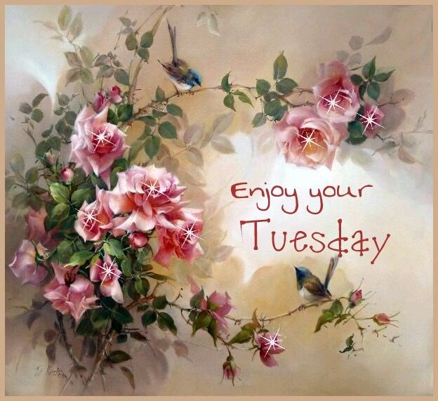 Enjoy Your Tuesday Pictures, Photos, and Images for Facebook, Tumblr ...