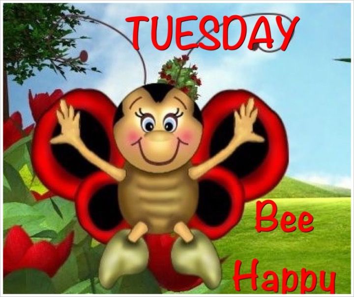 Tuesday, Bee Happy Pictures, Photos, and Images for Facebook, Tumblr ...