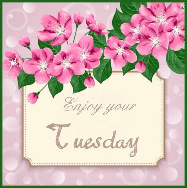 Enjoy Your Tuesday Pictures, Photos, and Images for Facebook, Tumblr ...