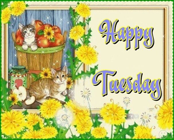 Happy Tuesday Pictures, Photos, and Images for Facebook, Tumblr ...