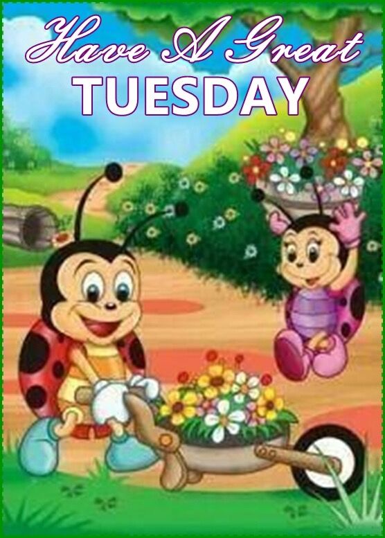 Have A Great Tuesday Pictures, Photos, and Images for Facebook, Tumblr ...