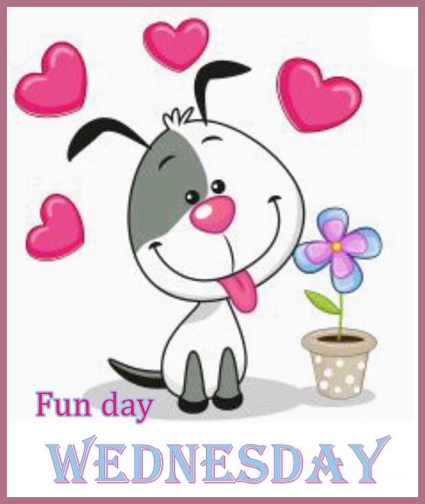 Fun Day Wednesday Pictures, Photos, and Images for Facebook, Tumblr ...