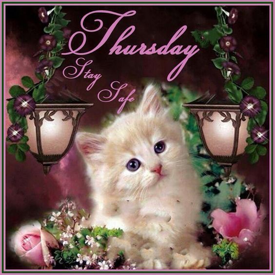 Thursday, Stay Safe Pictures, Photos, and Images for Facebook, Tumblr ...
