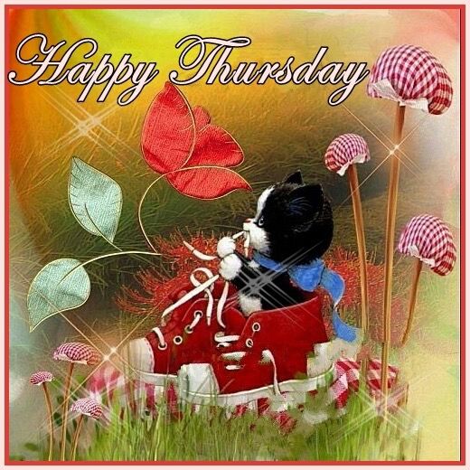 Happy Thursday Pictures, Photos, and Images for Facebook, Tumblr ...