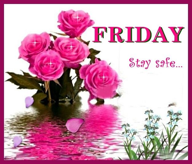 Friday Stay Safe... Pictures, Photos, and Images for Facebook, Tumblr ...