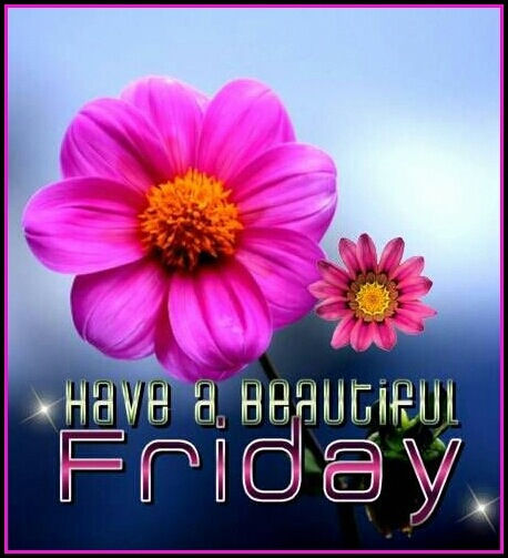 Have A Beautiful Friday Pictures, Photos, and Images for Facebook ...