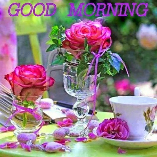 Pretty Good Morning Image Quote Pictures, Photos, and Images for ...