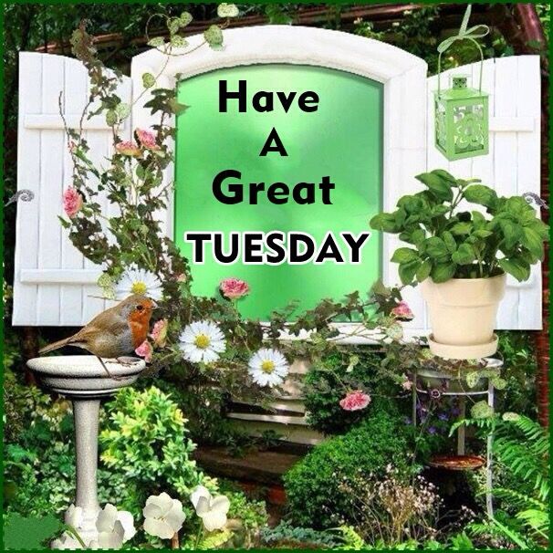 Have A Great Tuesday Pictures, Photos, and Images for Facebook, Tumblr ...