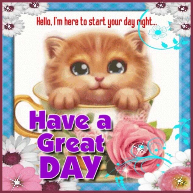 Hello, Im Here To Start Your Day Right, Have A Great Day Pictures ...