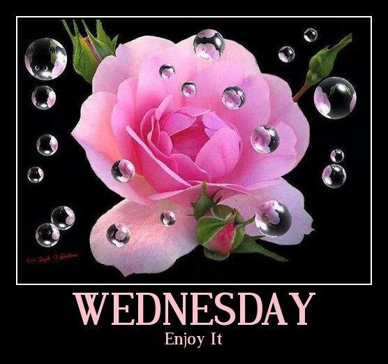 Wednesday, Enjoy It Pictures, Photos, and Images for Facebook, Tumblr ...