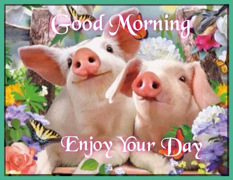 Good Morning, Enjoy Your Day Pictures, Photos, and Images for Facebook ...