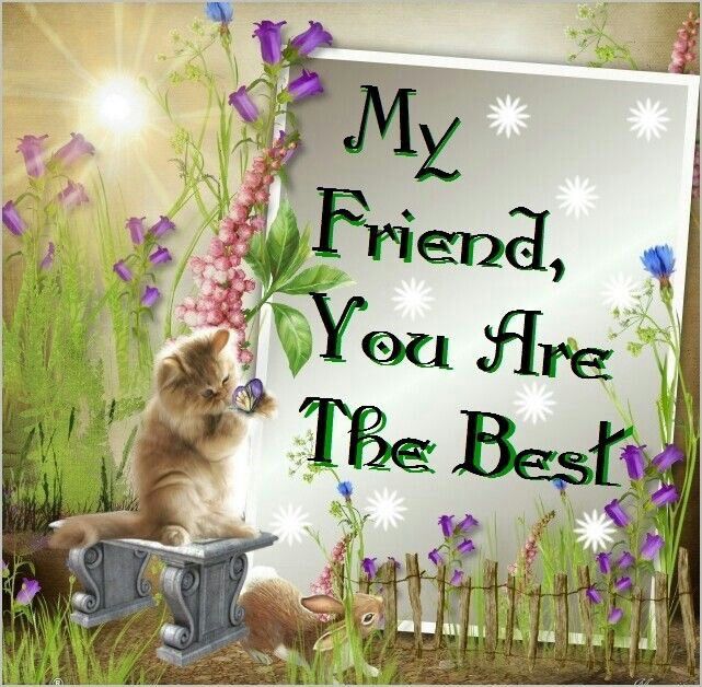 My Friend, You Are The Best Pictures, Photos, and Images for Facebook ...