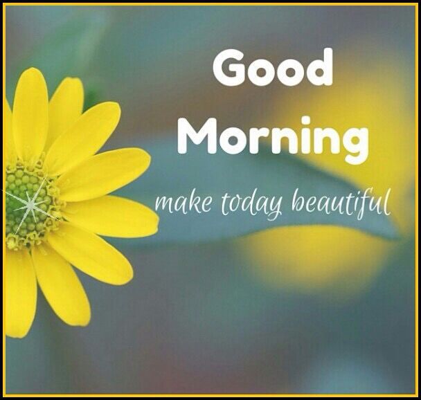 Good Morning, Make Today Beautiful Pictures, Photos, and Images for ...