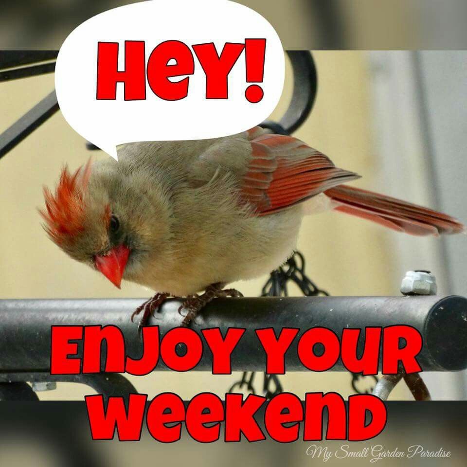 Hey! Enjoy Your Weekend Pictures, Photos, and Images for Facebook ...