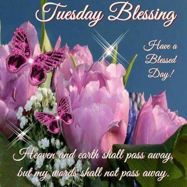 Tuesday Blessing Pictures, Photos, and Images for Facebook, Tumblr ...