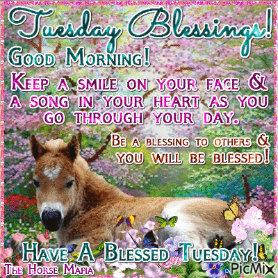 Tuesday Blessings! Pictures, Photos, and Images for Facebook, Tumblr ...