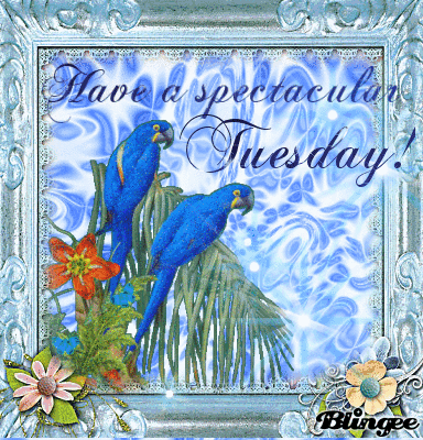 Have A Spectacular Tuesday! Pictures, Photos, and Images for Facebook ...