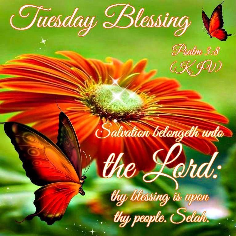 Tuesday Blessing Pictures, Photos, and Images for Facebook, Tumblr ...
