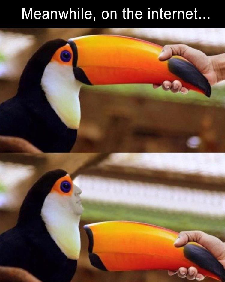 Meanwhile On The Internet Pictures, Photos, and Images for Facebook ...