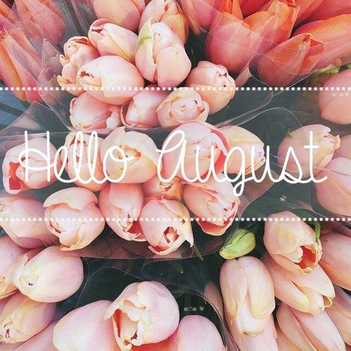 Hello August Pictures, Photos, and Images for Facebook, Tumblr ...
