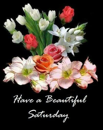 Have A Beautiful Saturday Pictures, Photos, and Images for Facebook ...