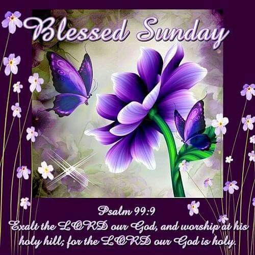 Blessed Sunday Pictures, Photos, and Images for Facebook, Tumblr ...