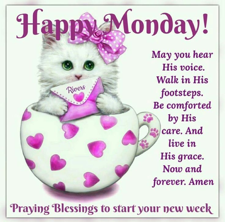 Happy Monday! Pictures, Photos, and Images for Facebook, Tumblr ...