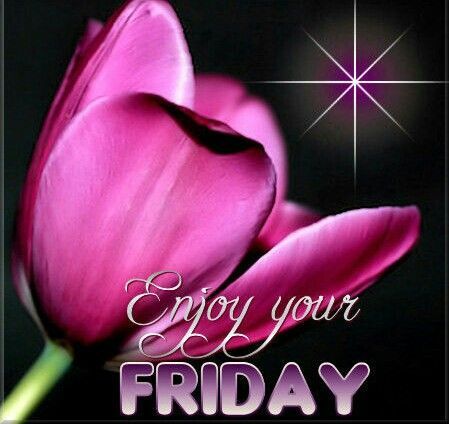 Enjoy Your Friday Pictures, Photos, and Images for Facebook, Tumblr ...