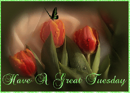Have A Great Tuesday Pictures, Photos, and Images for Facebook, Tumblr ...